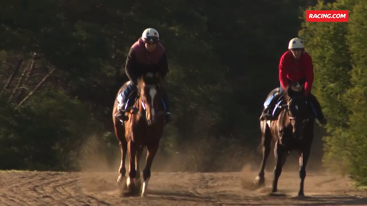 Smith family training together | RACING.COM