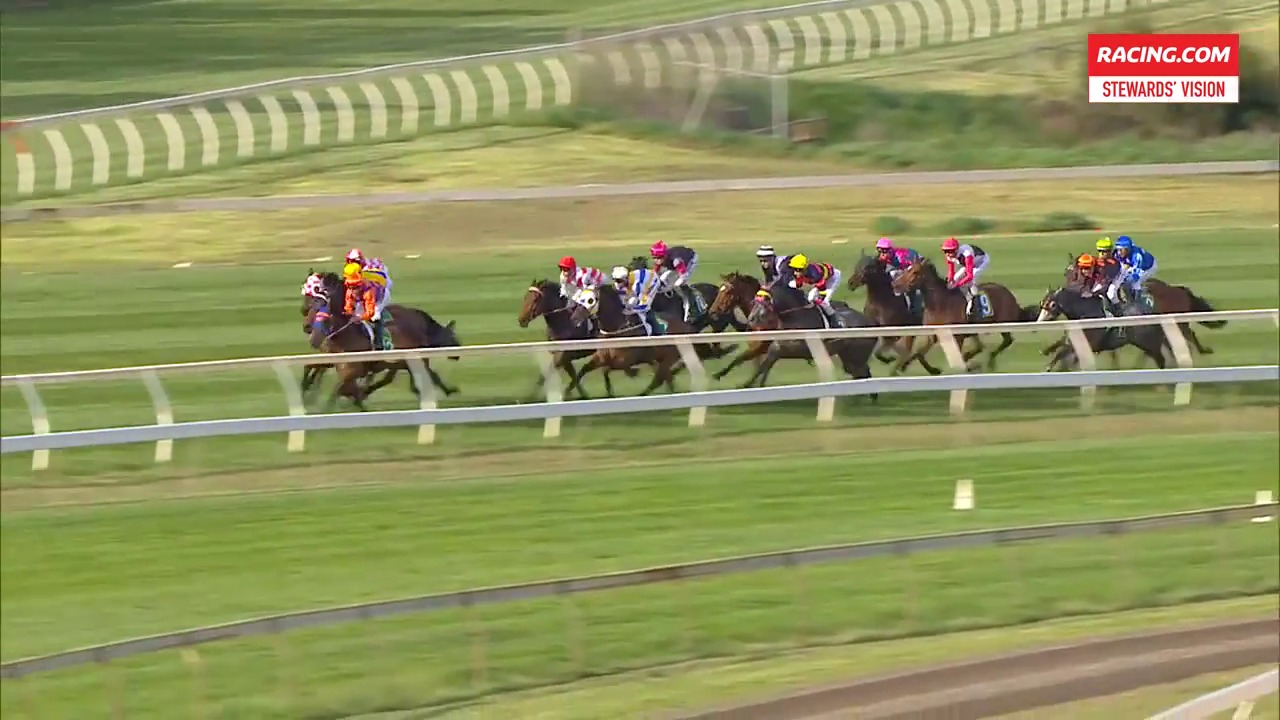 Bendigo Race 07-Stewards Vision-26-09-19 | RACING.COM