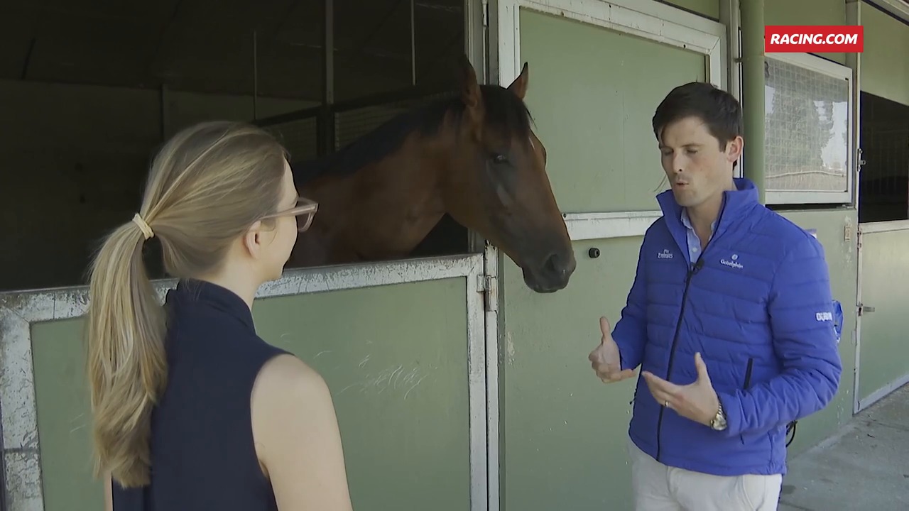 James Cummings Bivouac and Hartnell | RACING.COM