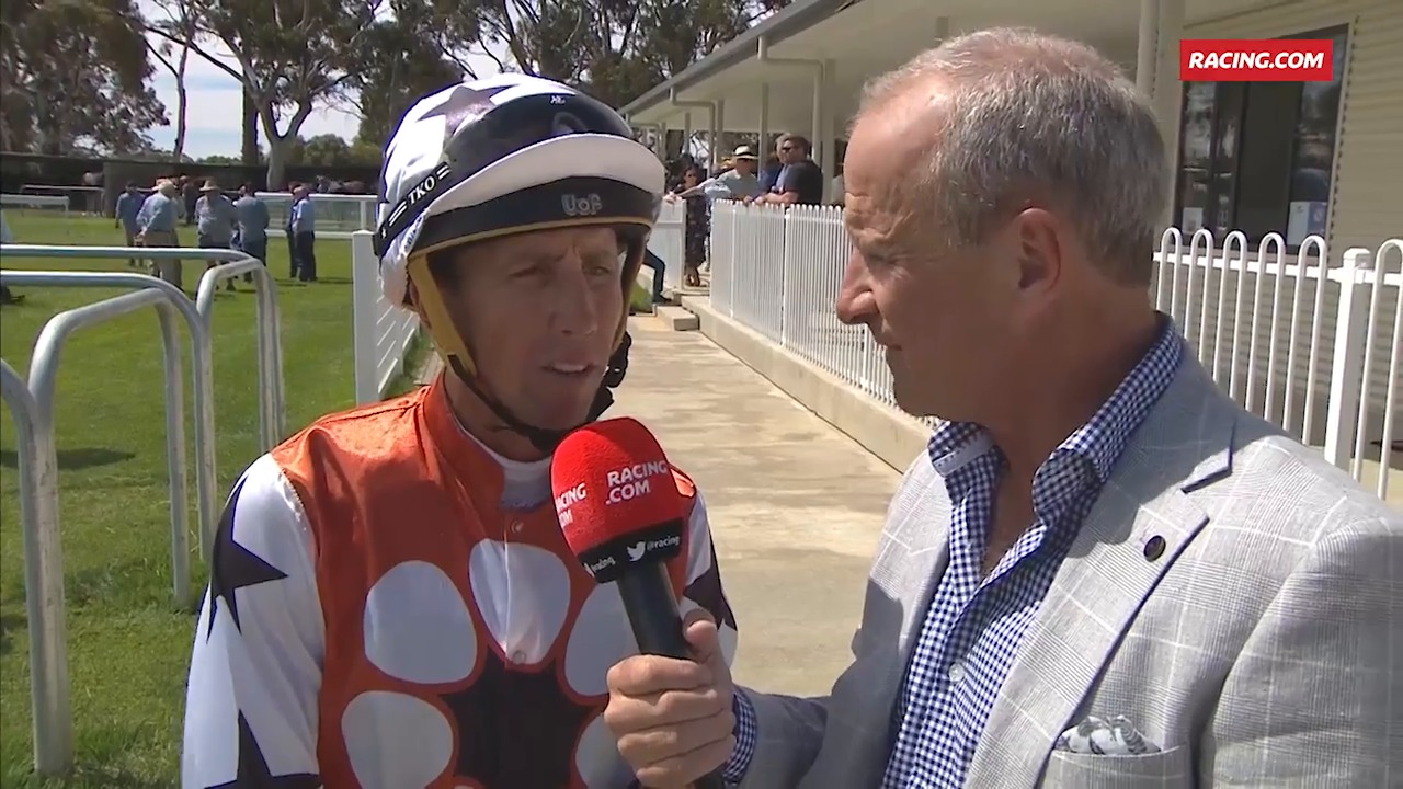 Bordertown Race 5 Justin Potter 151219 | RACING.COM
