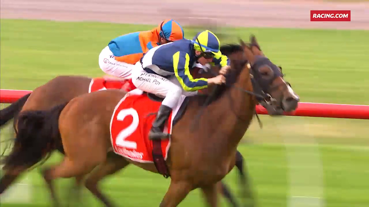 Ladbrokes Park Lakeside Race 8 Ciaron Maher 220120 | RACING.COM