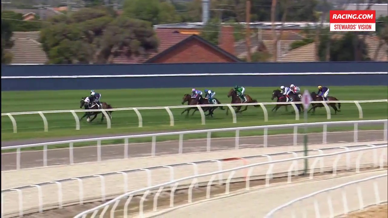 Geelong Race 06-Stewards Vision-26-01-20 | RACING.COM