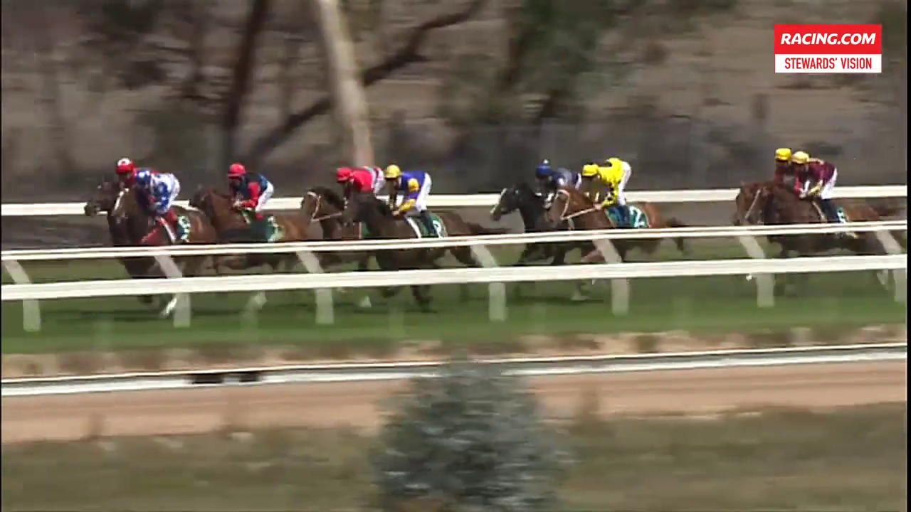 Stawell Race 01-Stewards Vision-06-03-20 | RACING.COM