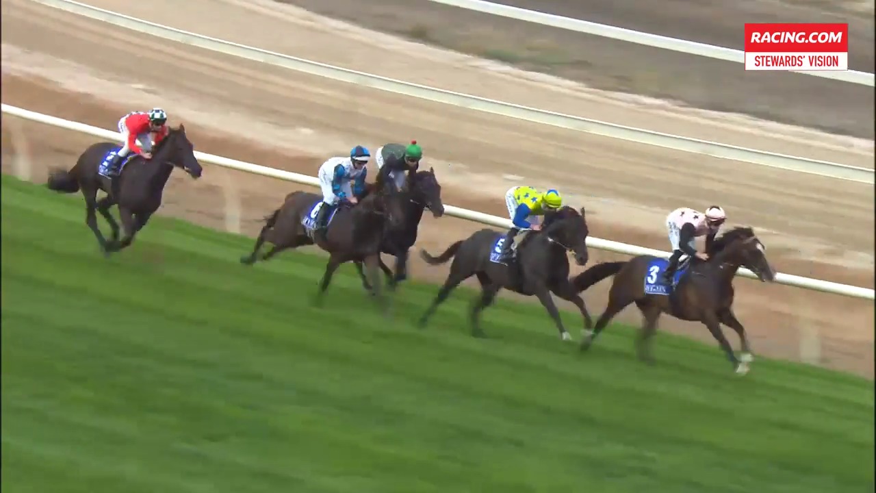 Echuca Race 01-Stewards Vision-08-03-20 | RACING.COM