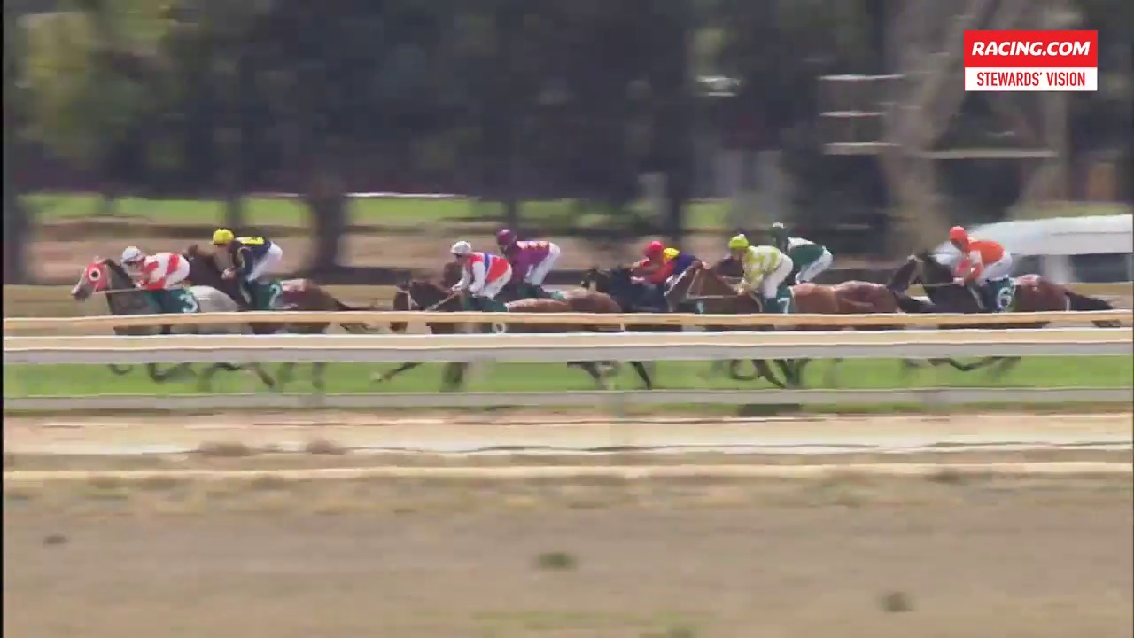Echuca Race 02-Stewards Vision-08-03-20 | RACING.COM