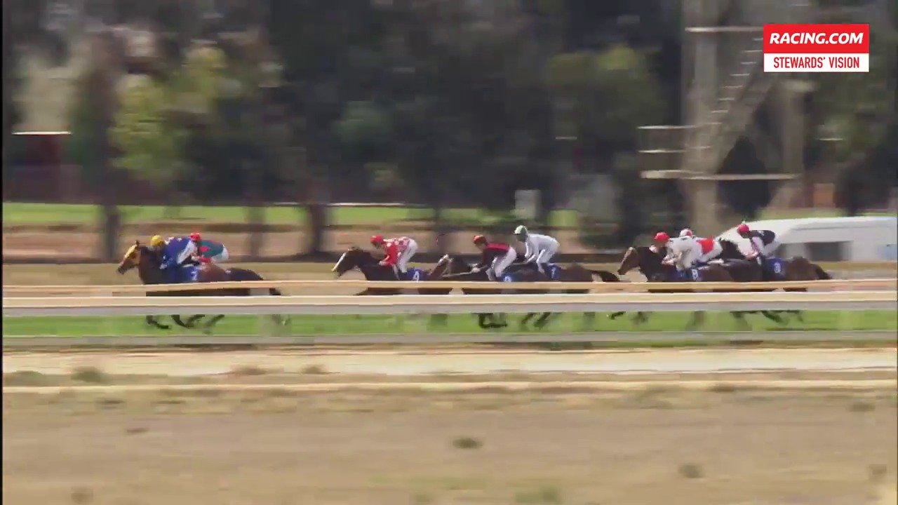 Echuca Race 05-Stewards Vision-08-03-20 | RACING.COM