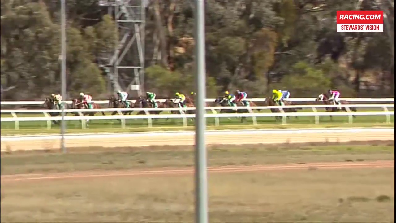 Stawell Race 01-Stewards Vision-12-04-20 | RACING.COM