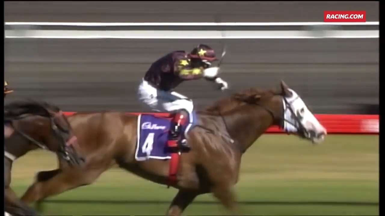 The horses who shaped Greg Eurell | RACING.COM