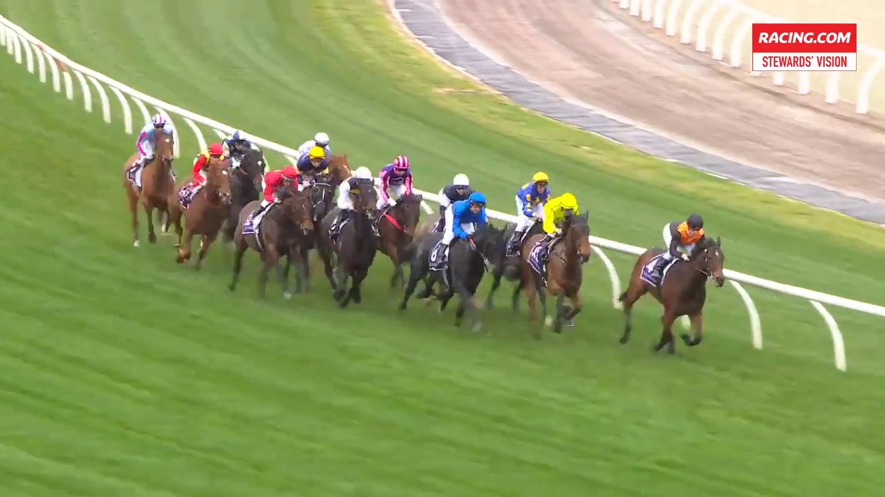 Flemington Race 08-Stewards Vision-06-06-20 | RACING.COM