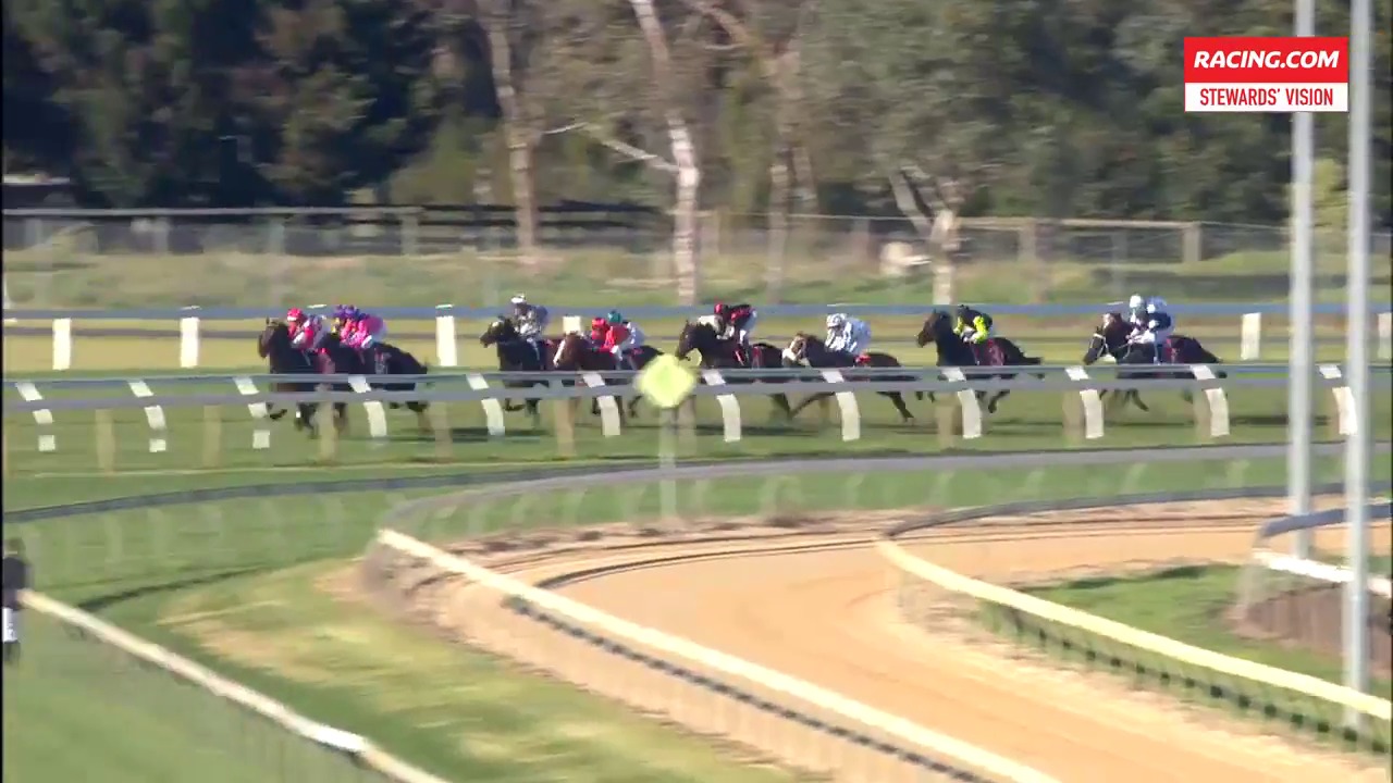 Sale Race 05-Stewards Vision-10-06-20 | RACING.COM