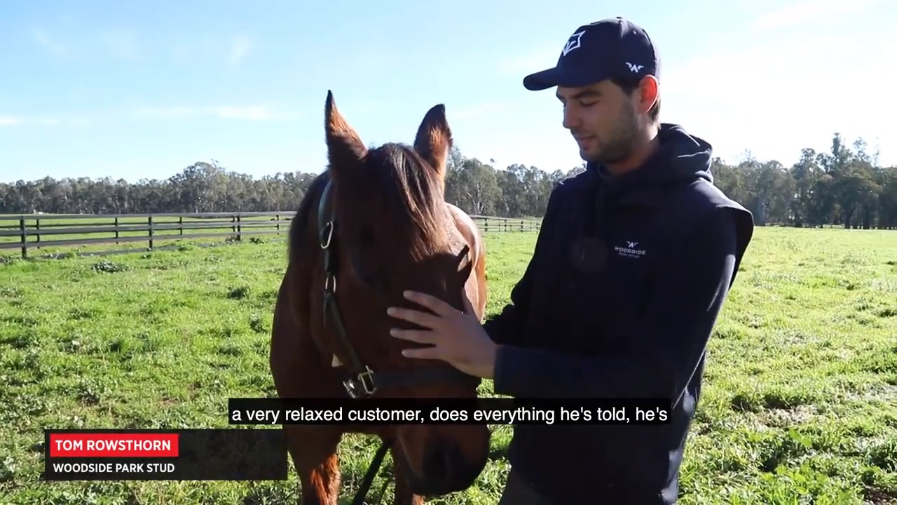 Bomber Bill loving life in the paddock | RACING.COM