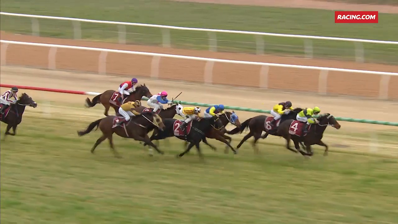 Murray Bridge GH Race 2 Sue Murphy 130620 | RACING.COM