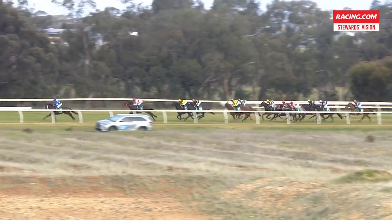 Donald Race 04-Stewards Vision-20-06-20 | RACING.COM