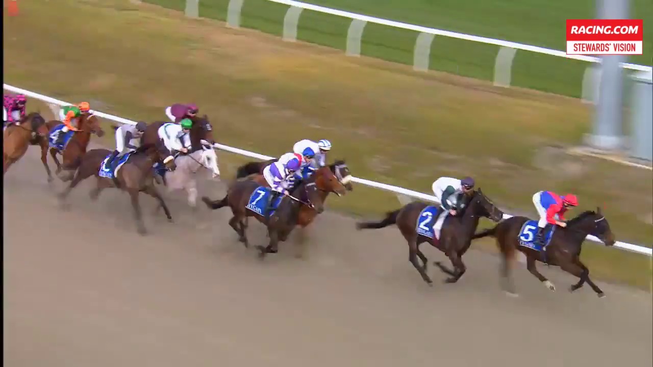 Pakenham Race 01-Stewards Vision-05-07-20 | RACING.COM