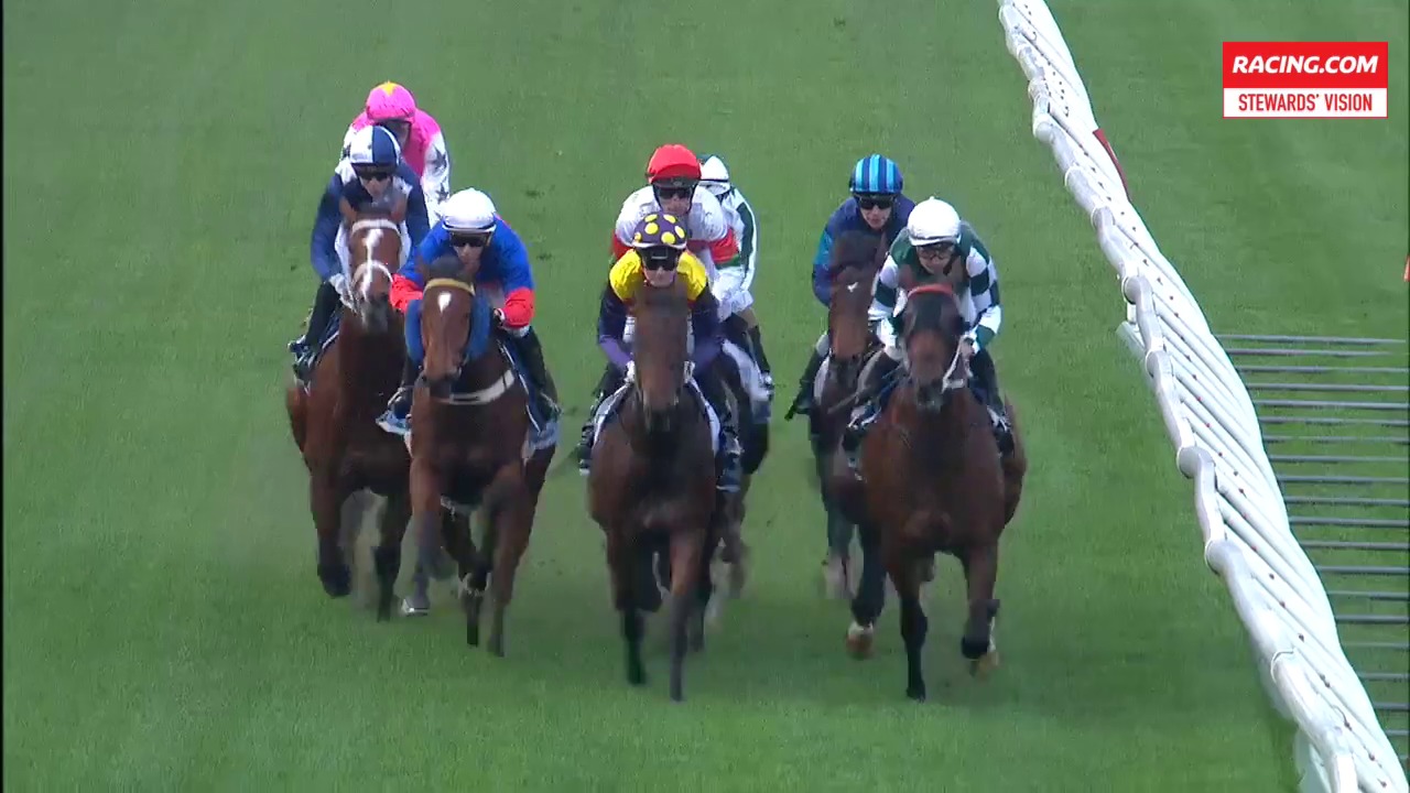 Moonee Valley Race 02-Stewards Vision-11-07-20 | RACING.COM