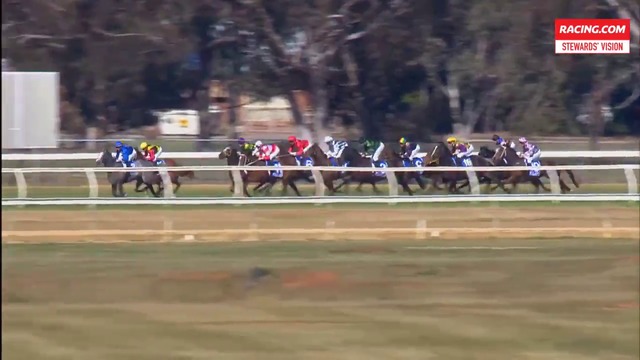 Swan Hill Race 02-Stewards Vision-22-07-20 | RACING.COM