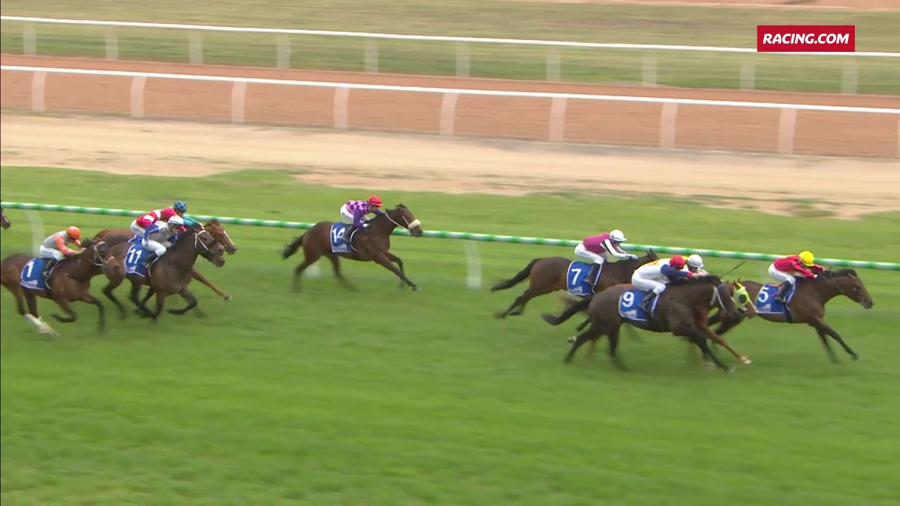 Murray Bridge Race 4 Tony McEvoy 300920 | RACING.COM