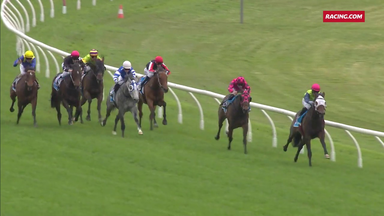 Morphettville Race 1 Michael Hickmott 031020 | RACING.COM