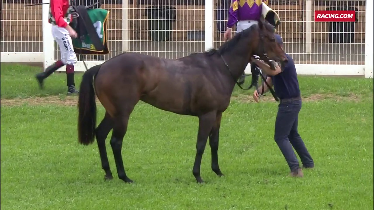 Donald Race 1 Archie Alexander 061020 | RACING.COM