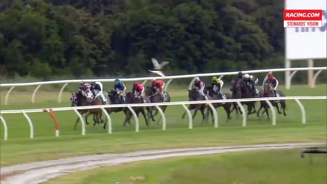 Yarra Valley Race 01-Stewards Vision-24-10-20 | RACING.COM