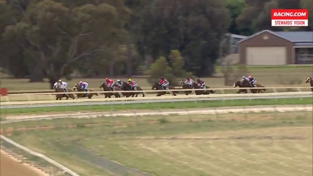 Echuca Race 05-Stewards Vision-26-10-20 | RACING.COM