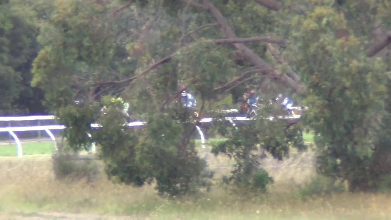 Balnarring Race 5 05122020 | RACING.COM