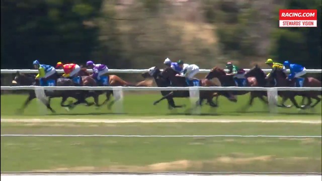 Yarra Valley Race 01-Stewards Vision-29-12-20 | RACING.COM