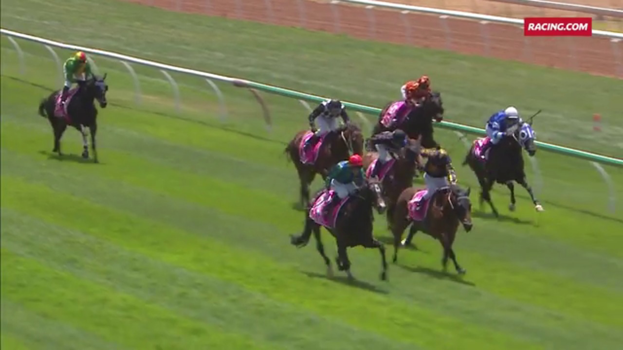 Strathalbyn Race 1 Michael Smith 130121 | RACING.COM