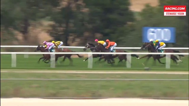 Yarra Valley Race 05-Stewards Vision-13-01-21 | RACING.COM
