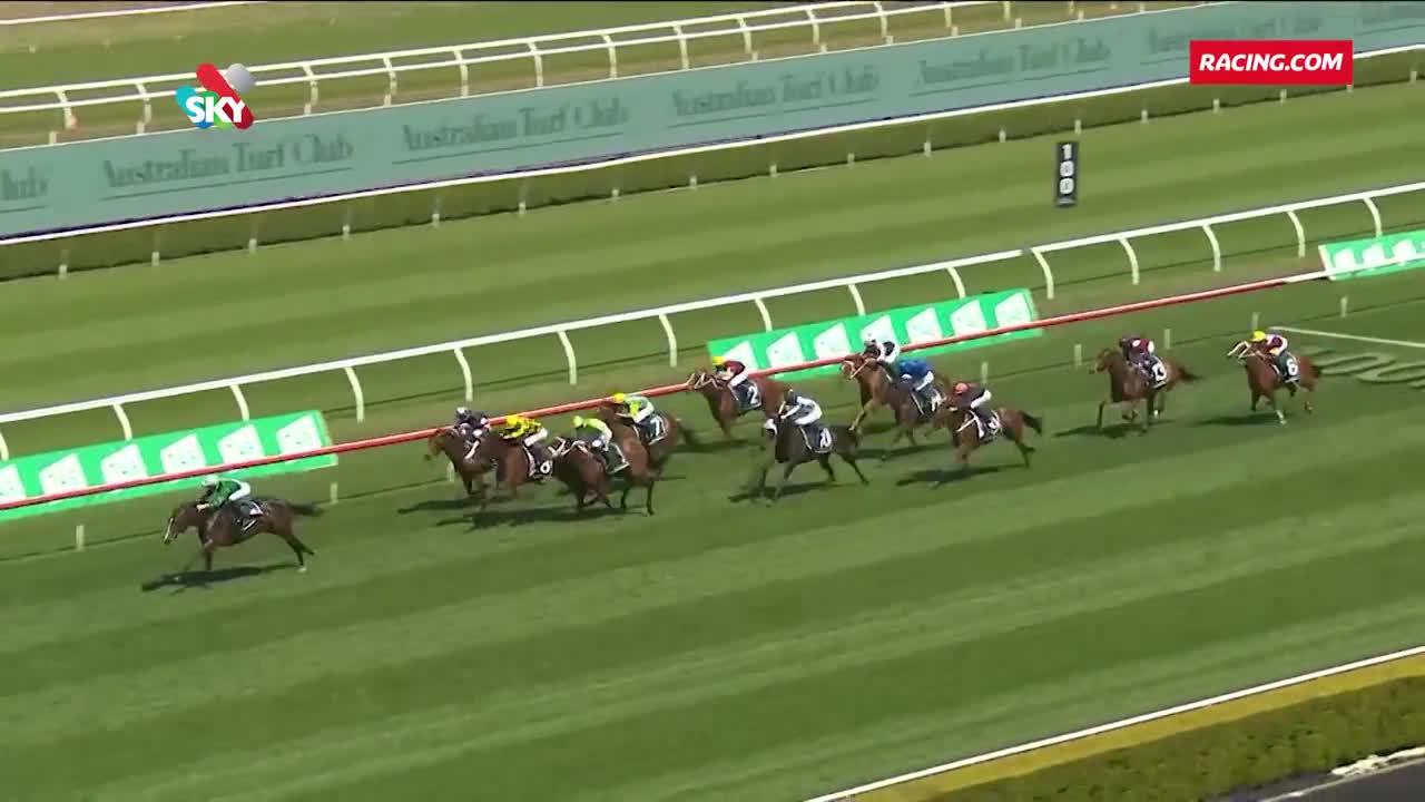 Ciaron Maher is excited for Enthaars return | RACING.COM