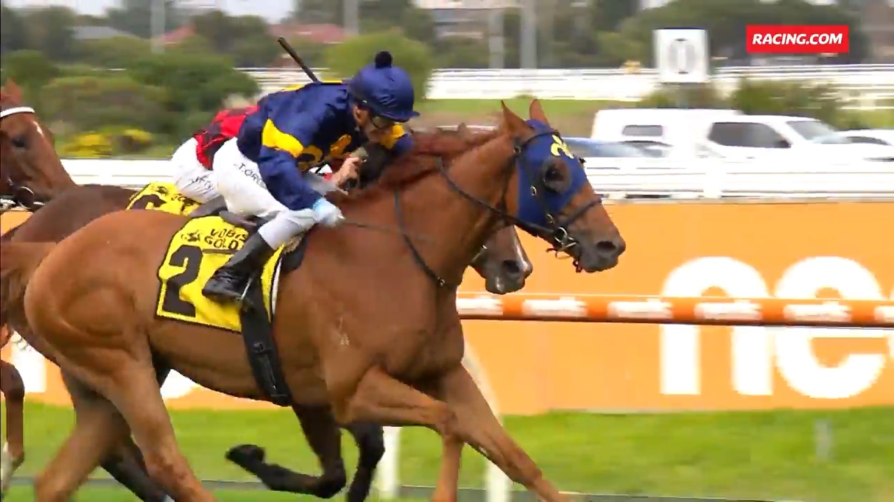 The Nick Ryan stable is flying | RACING.COM