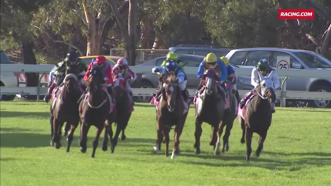 Strathalbyn Race 6 David Tootell Snr 260521 | RACING.COM