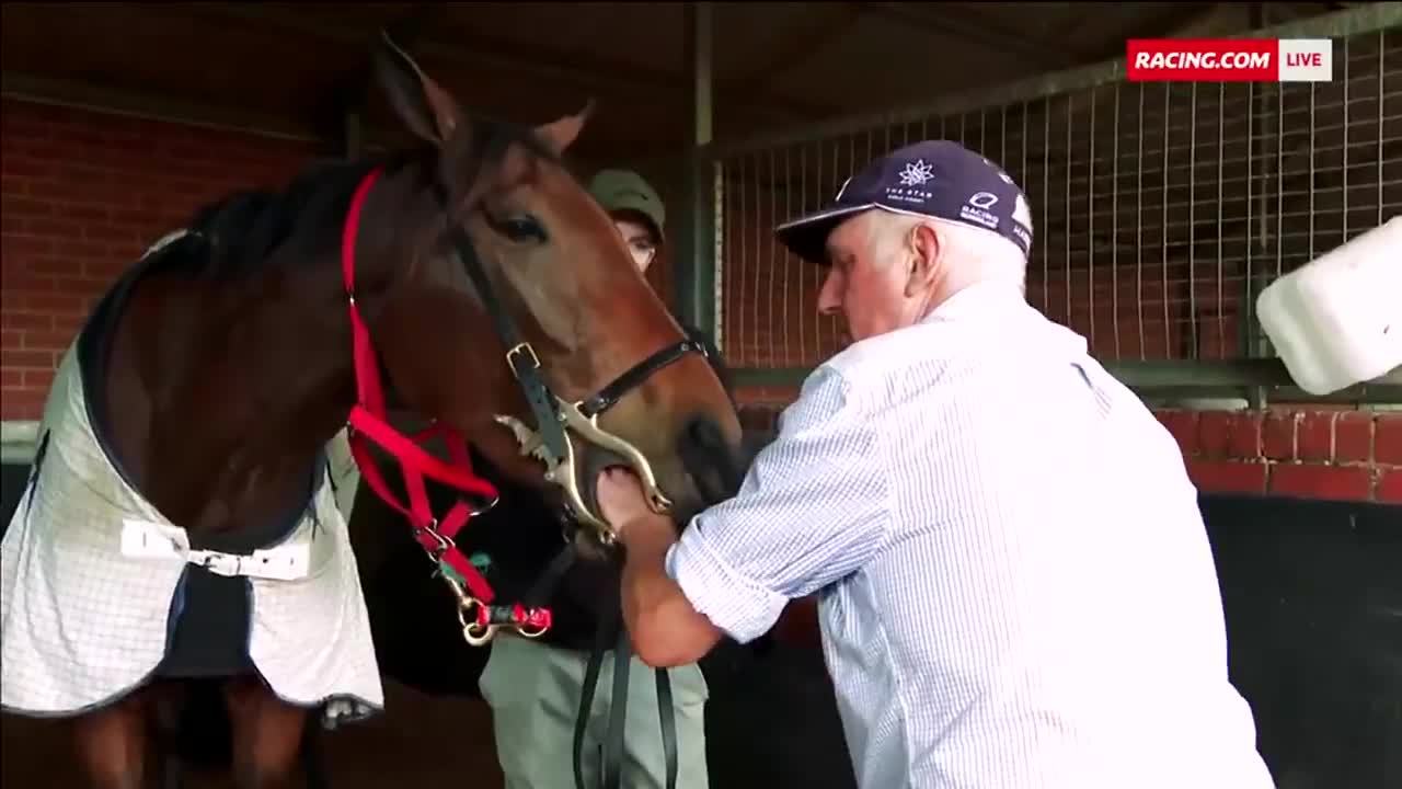 Michael Maskell - Love The Horse | RACING.COM