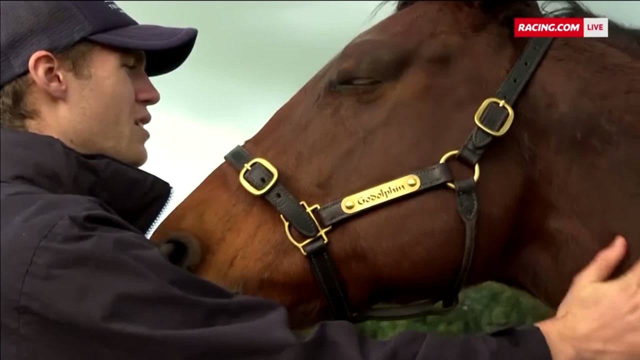 Jack Cripps | RACING.COM