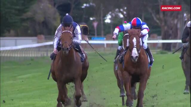 Coleraine Race 8 Mitchell Freedman 050821 | RACING.COM