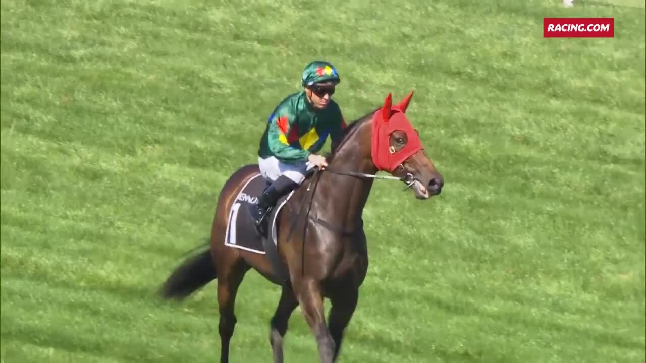 Billy Healy is excited by Alligator Blood | RACING.COM