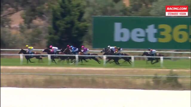 Yarra Valley Race 02-Stewards Vision-22-01-22 | RACING.COM