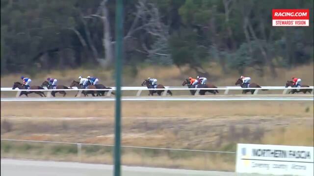 Kilmore Race 08-Stewards Vision-25-01-22 | RACING.COM