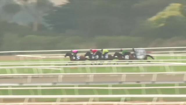 Pakenham Jump Out 1 01022022 | RACING.COM