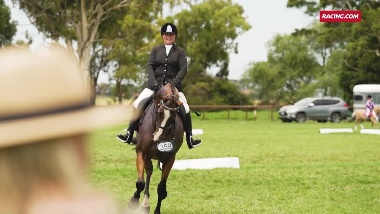 Hartnell The Show Horse | RACING.COM