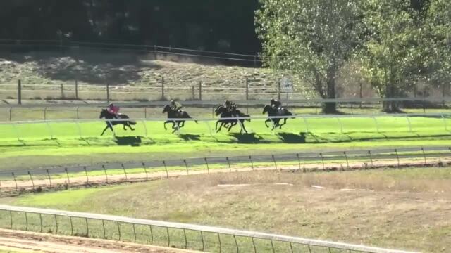 Hamilton Jump Out 2 03032022 | RACING.COM