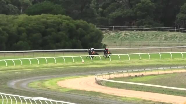 Hamilton Jump Out 6 04042022 | RACING.COM