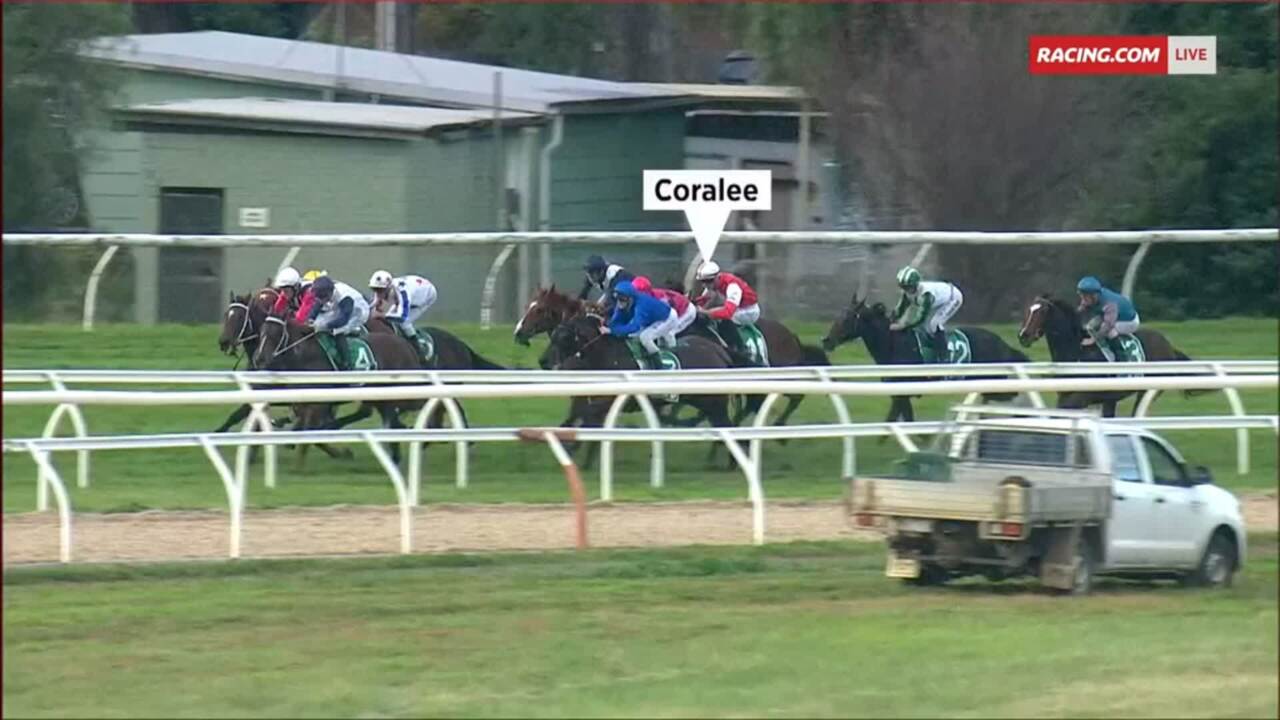 Harrys Early Look at Mornington | RACING.COM