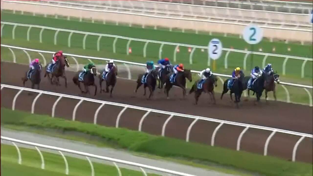 Reeces Good Win | RACING.COM