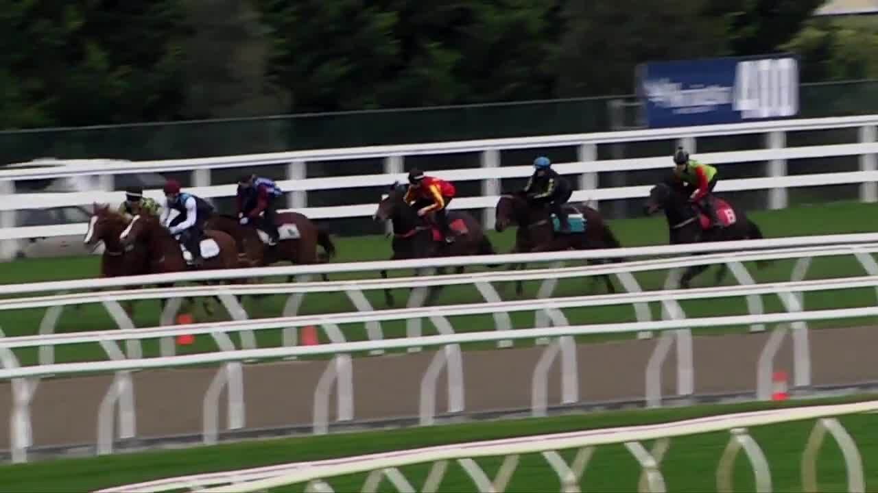 Mornington Jump Out 6 15062022 | RACING.COM