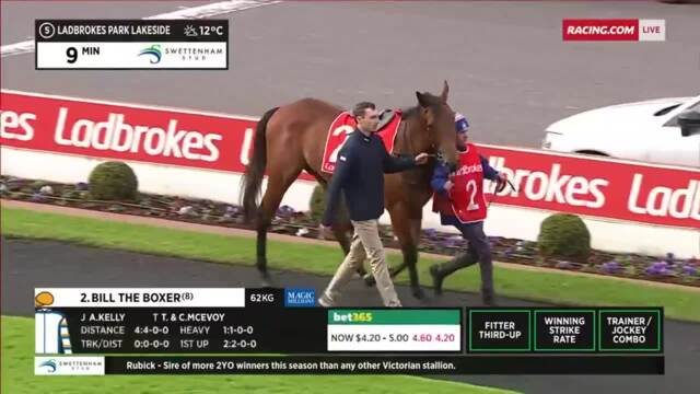 bill the boxer | RACING.COM