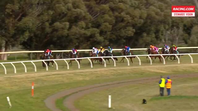 Donald Race 03-Stewards Vision-11-07-22 | RACING.COM