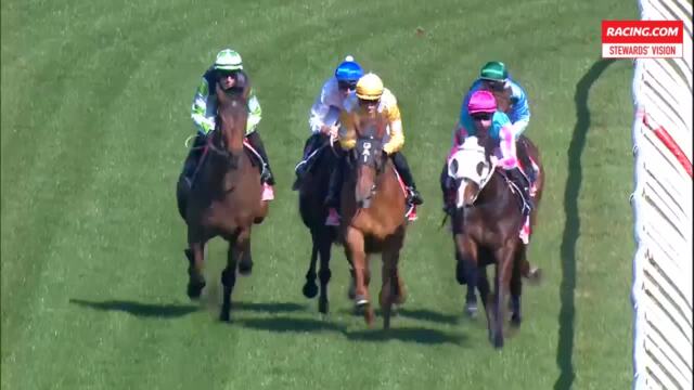 Sale Race 02-Stewards Vision-21-08-22 | RACING.COM