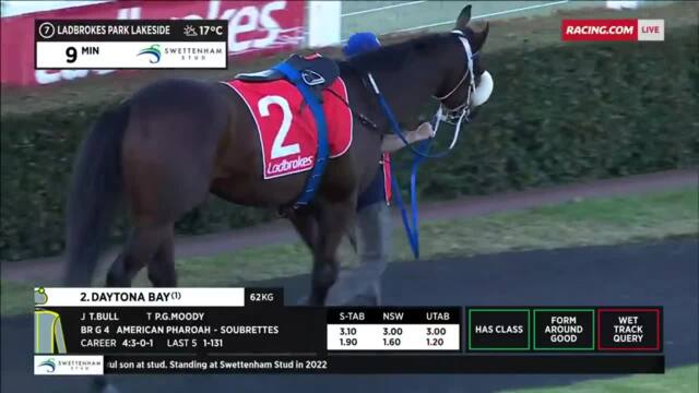 daytona bay | RACING.COM