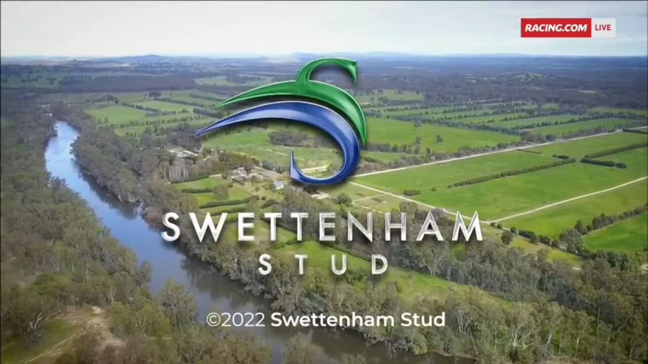 Stallions at Swettenham Stud | RACING.COM